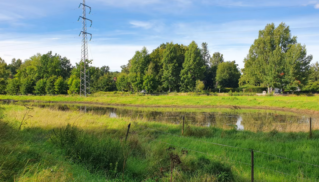 Dagvattendamm vid Strömsborg i Örebro klar | INFRASTRUKTURnyheter.se
