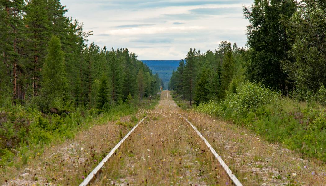 Infranord har tilldelats uppdrag utmed Norra Malmbanan ...